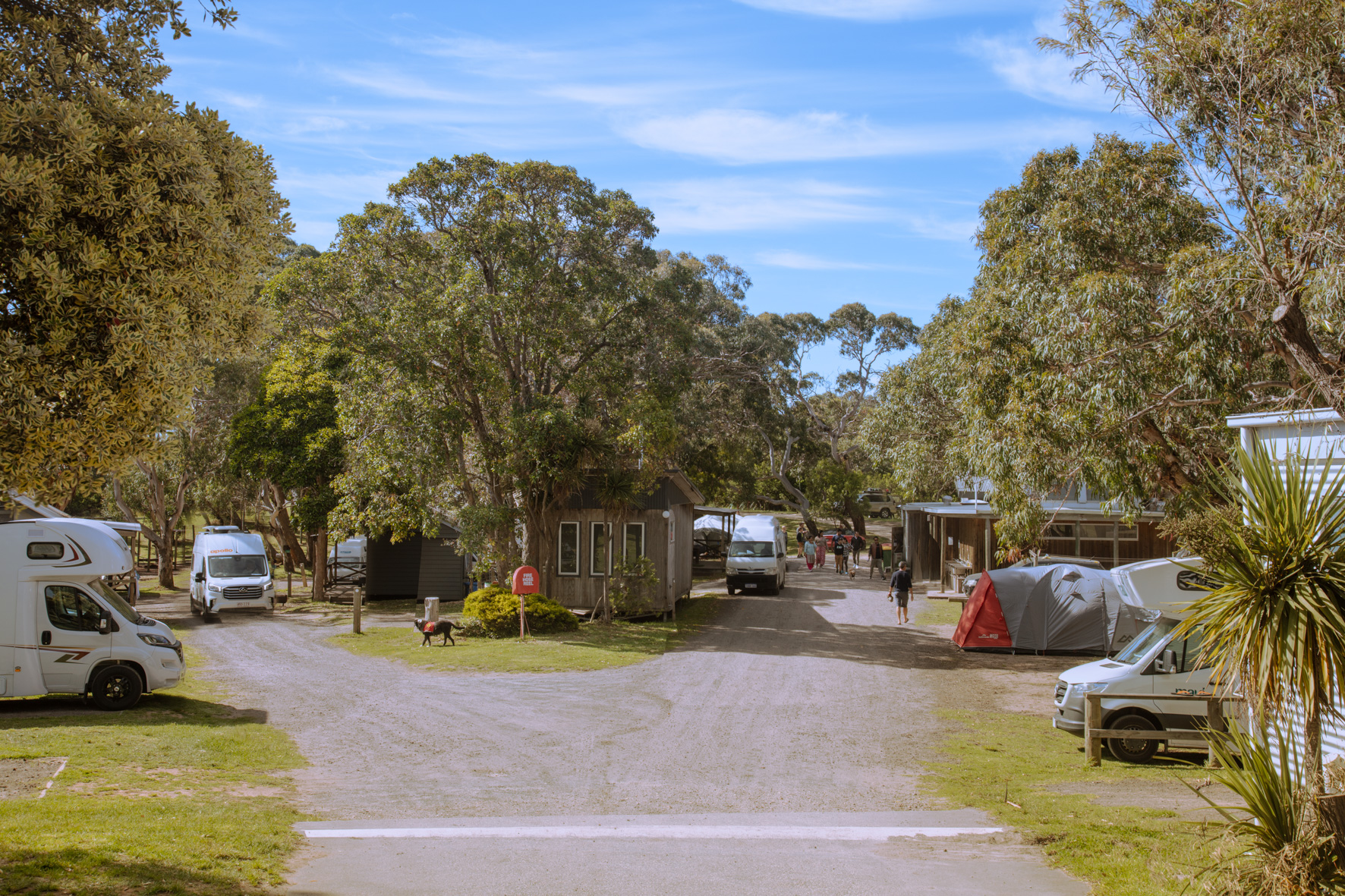 Discover Bimbi Park: Best Campsites In Cape Otway